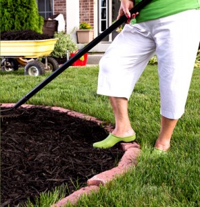 Home | Soil Kings | Calgary | Soil Products | Landscape Supplies