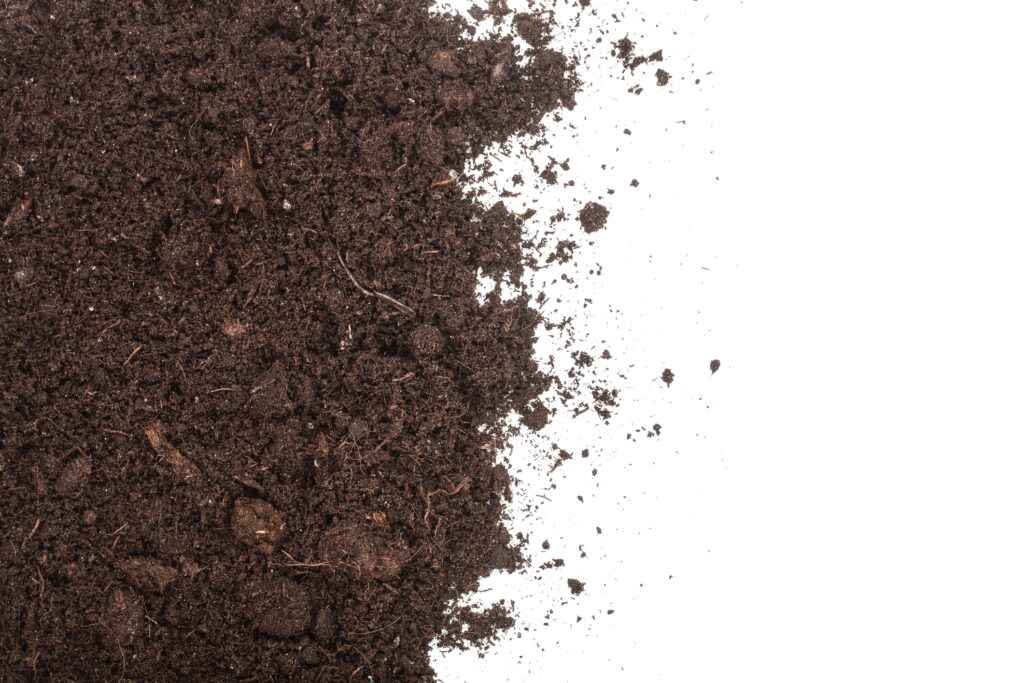 The Difference Between Topsoil and Compost - Soil Kings The Difference Between Topsoil and Compost - Soil Kings