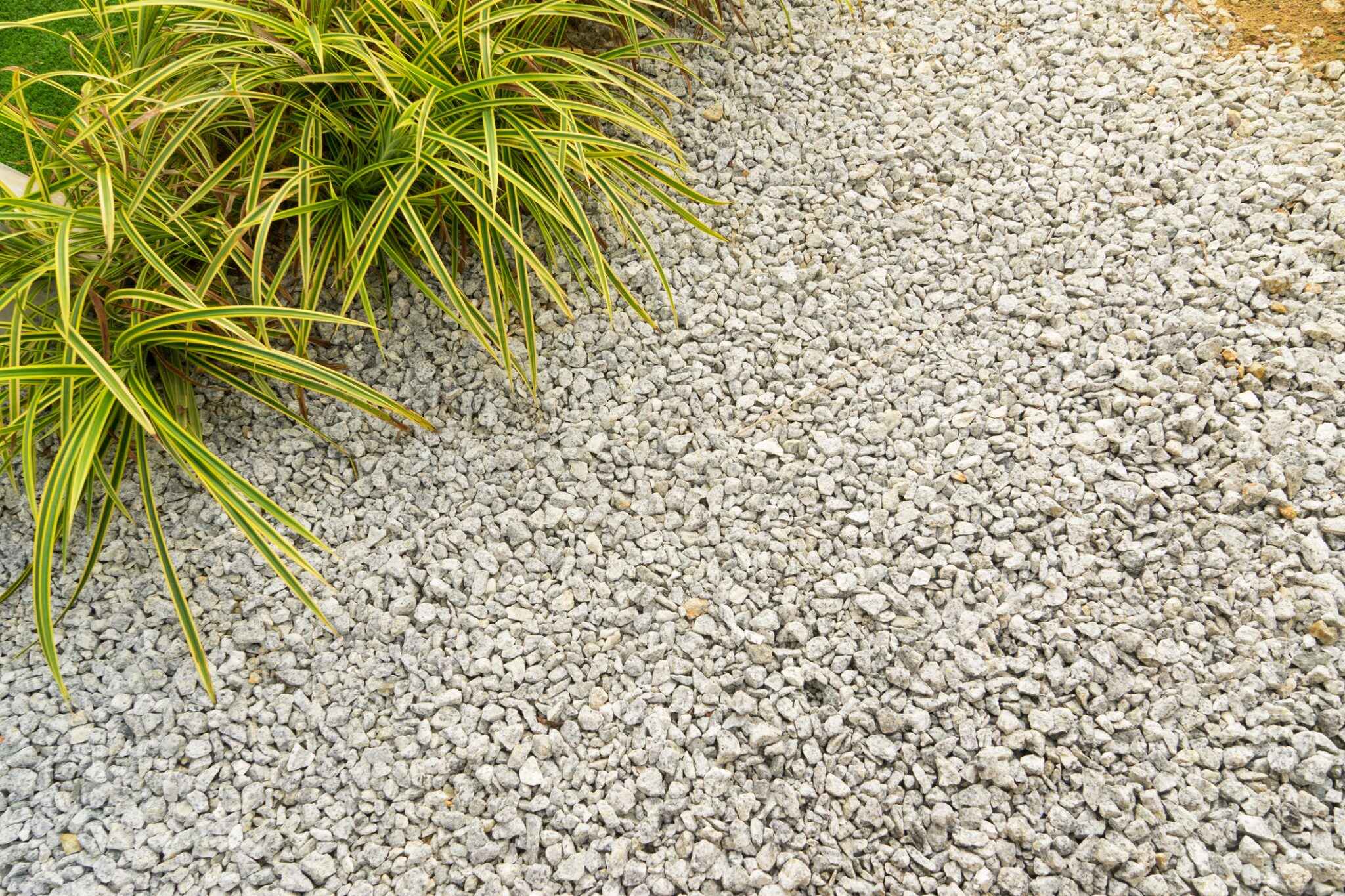 Advantages To Using Aggregates In Your Gardens | Tag Page
