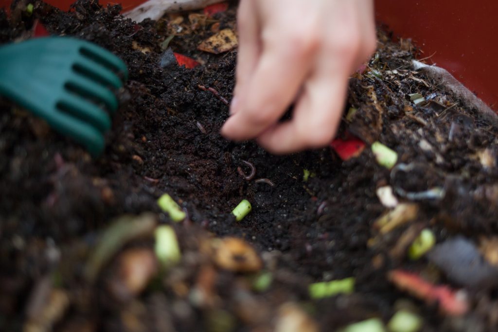 DIY Guide to Composting - Soil Kings