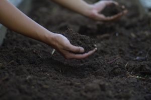 Flower Bed Soil Preparation Tips | Soil Kings