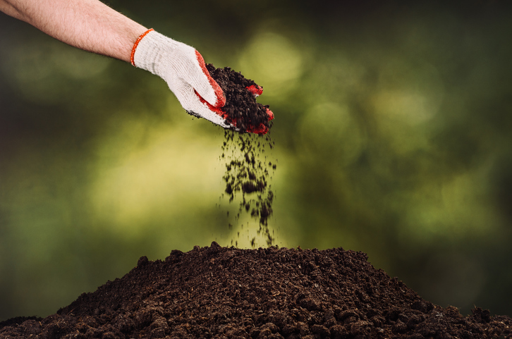 Plant Growth in Different Soil Types | Soil Kings